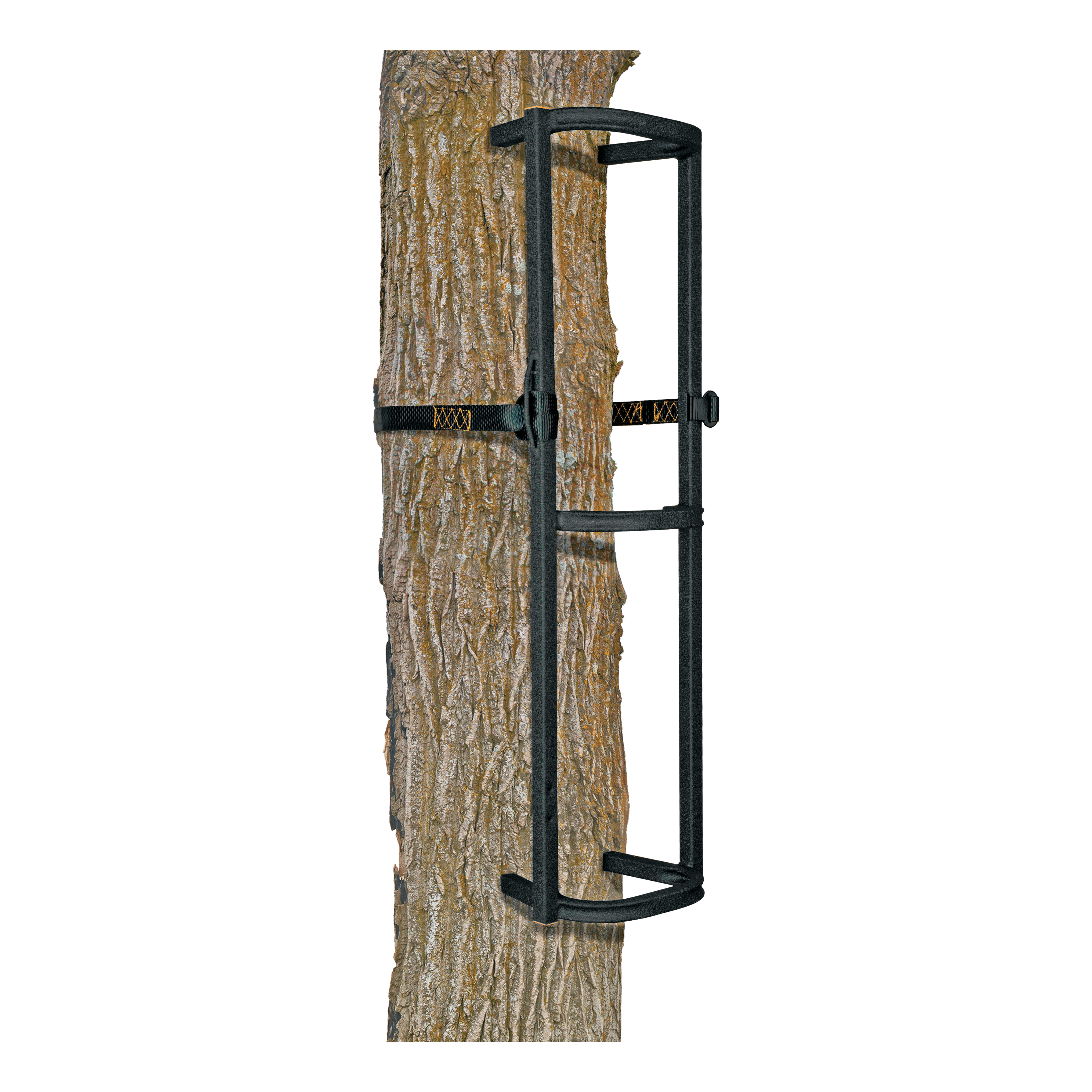 Muddy® The Stagger Steps | Bass Pro Shops Canada